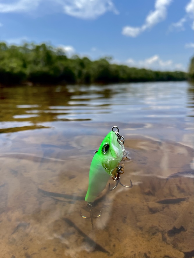 PL110 SPLASH | babyface JAPAN